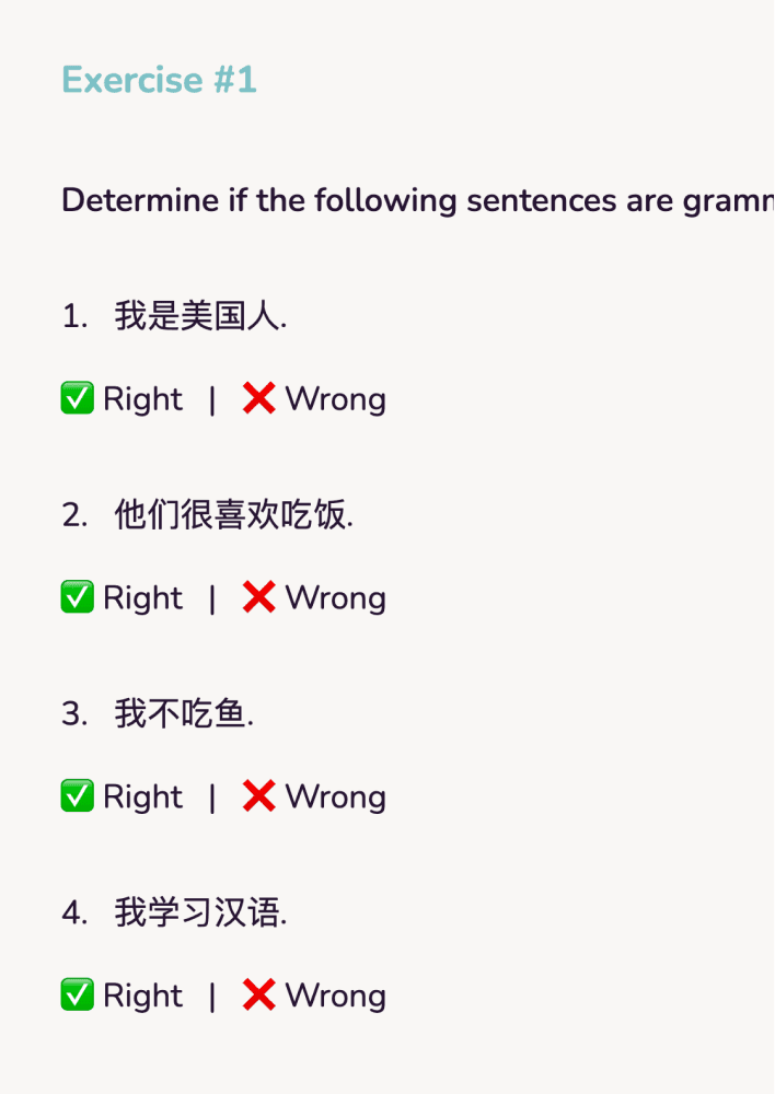 Beginners Chinese Workbook PDF